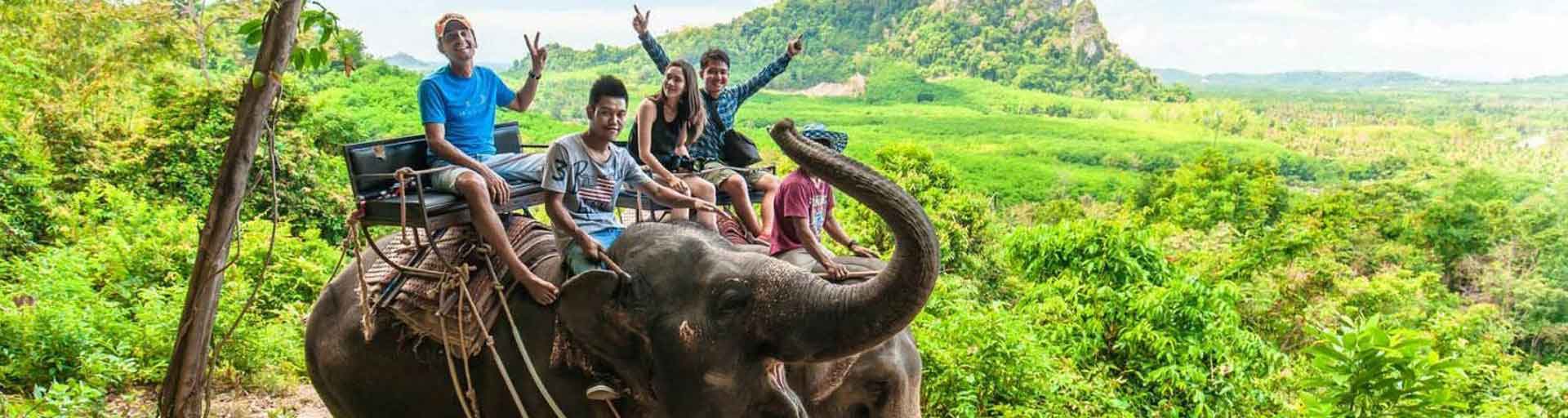Phuket Elephant Sanctuary Tours, Elephant Sanctuary Half Day Full Day ...